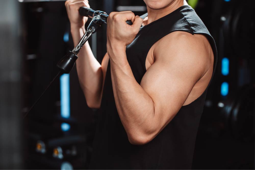 How to structure workout's for muscle growth – Warrior